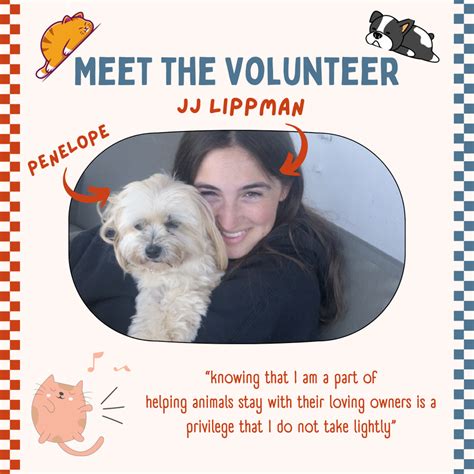 Volunteer Profile Jj Lippman Pawsla