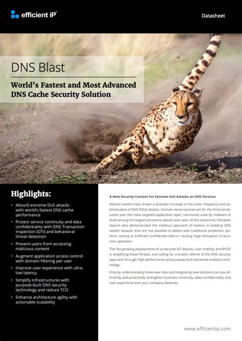 Datasheets Overview Efficientip