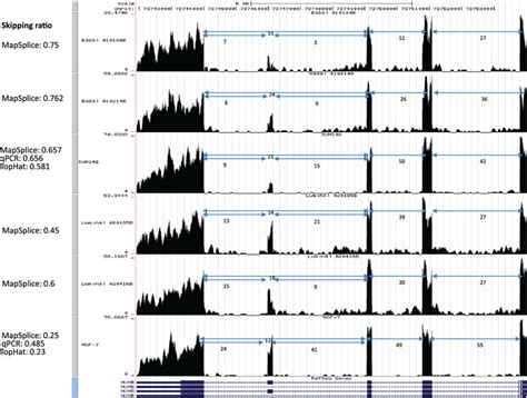 Examples Of Alternative Exon Skipping Events The Second Exon In NUMB Download Scientific