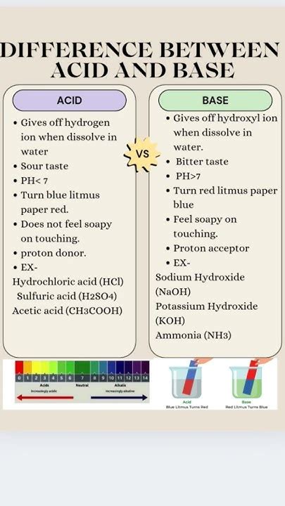 Difference Between Acid And Base Biologyscience Youtube