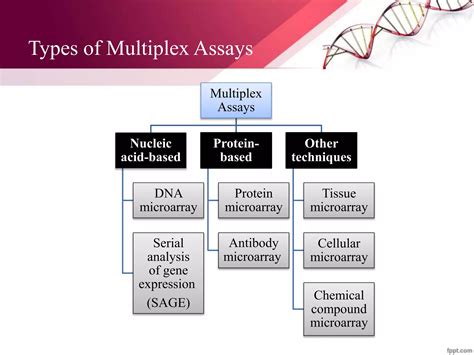 Multiplex Analysis As Tools In Biological Science Research Ppt