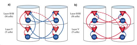 explicit microcircuit structure a b two examples of complete