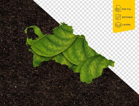 Page 2 Soil Path Psd High Quality Free Psd Templates For Download