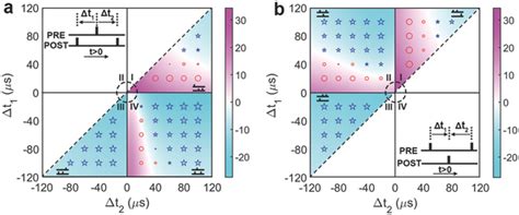 triplet‐stdp a case of “1 2” one prespike and two postspikes b