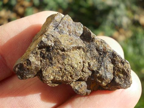 Nwa 10158 Mésosidérite 25 193 G Allmétéorite Pour La Science Et