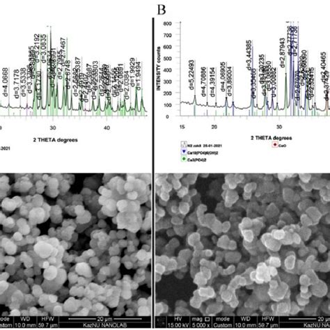 Designed Triply Periodic Minimal Surfaces And Functionally Graded Download Scientific Diagram