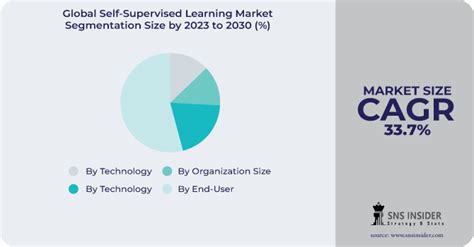 self supervised learning market size share and growth report 2031