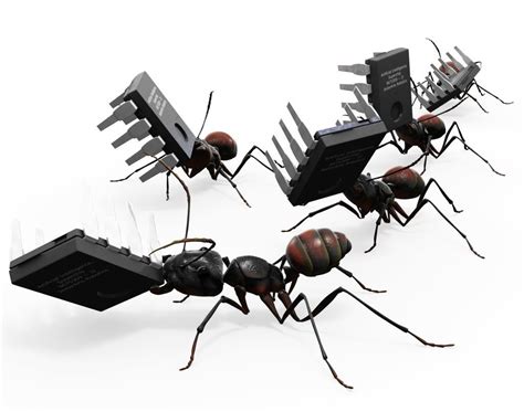 Preguntas Y Respuestas De La Vida Los Bugs