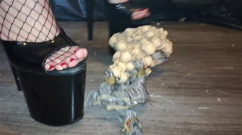 Free Dragon Lady Porn Videos Xhamster