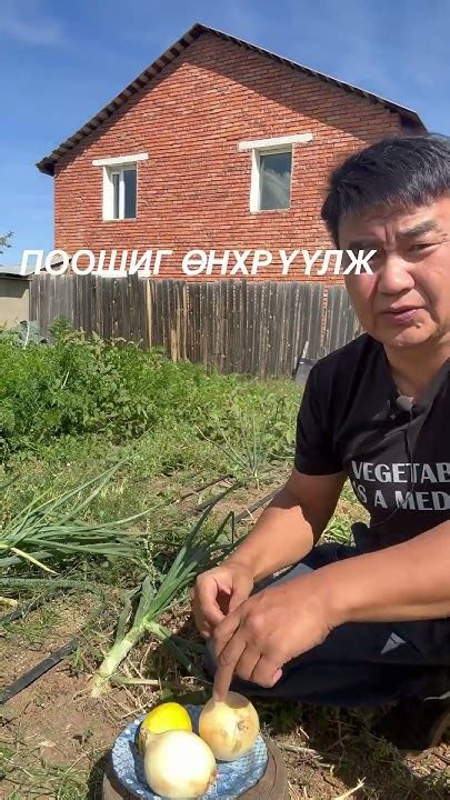 СОНГИНО СОНГОЛТ Youtube