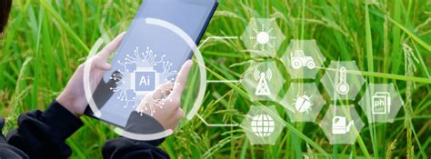 The Plight Of The Product Lead Using Drone Imagery And Machine Learning Sentera