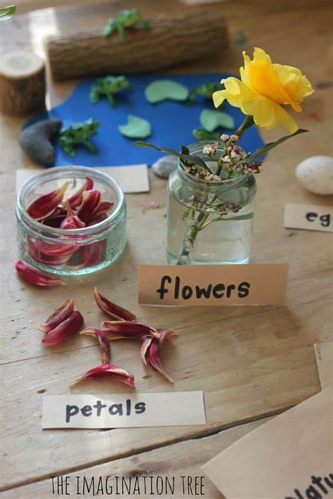 Science Table Preschool