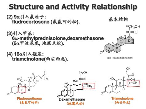 Ppt Drugs Affecting Endocrine System Powerpoint Presentation Free
