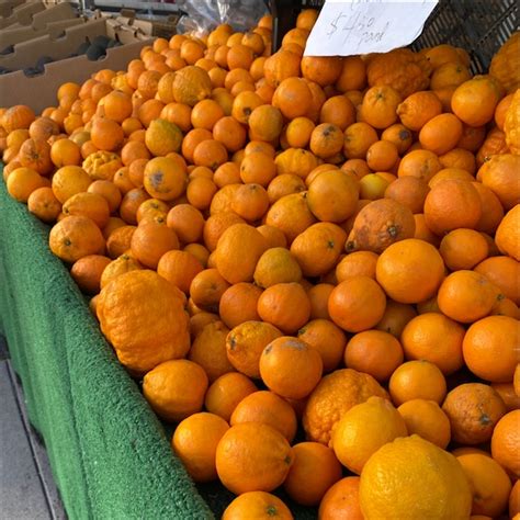 Pixie Tangerines Information Recipes And Facts