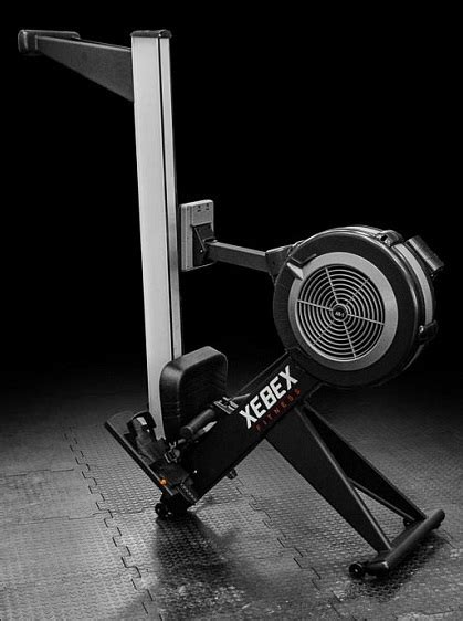 Xebex Rower Review