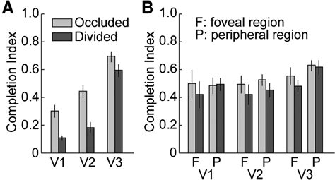 Topographic Representation Of An Occluded Object And The Effects Of Spatiotemporal Context In