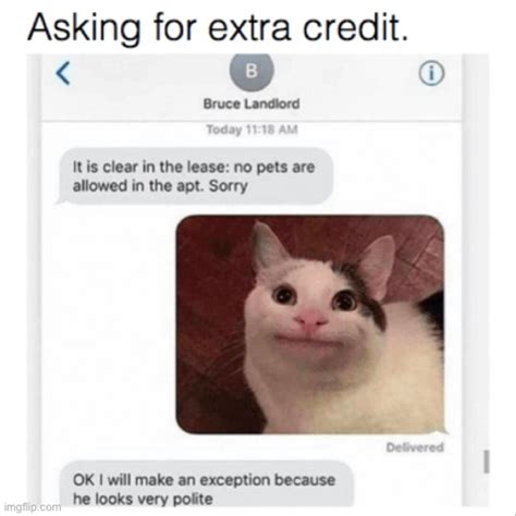 Me Asking For Extra Credits Imgflip
