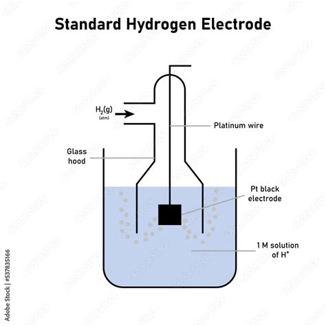Standard Hydrogen Electrode Diagram Scientific Vector Illustration