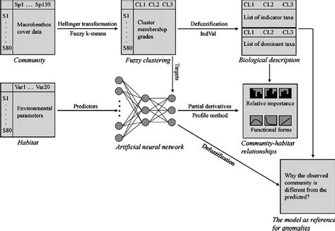 Scheme Of The Statistical Procedure And Methods Used In This Study