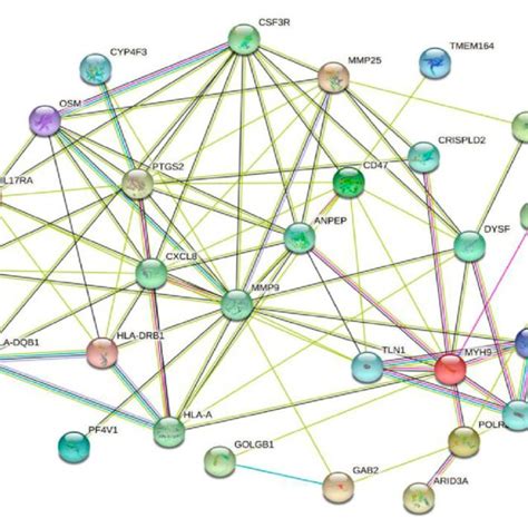 Ppi Network Analysis And Identification Of Hub Genes A We Identified