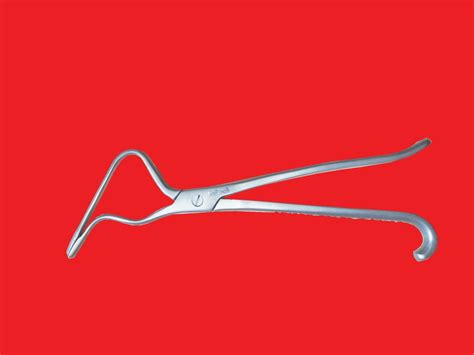 Hyton William Forceps Downword At Rs 4200 2nd Kumbharwada Mumbai