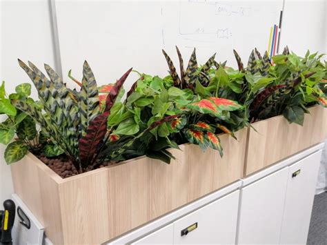 St Engineering Amk Vertical Green Pte Ltd