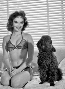 25 Ann Blyth Ideas Actresses Hollywood Stars Hollywood