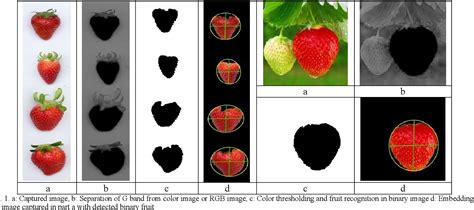 Figure 1 From A Novel Approach For Automated Strawberry Fruit Varieties Classification Using