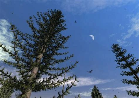 Lepidodendron Prehistoric Earth Wiki