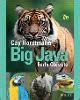 Big Java Early Objects T University Bookshop