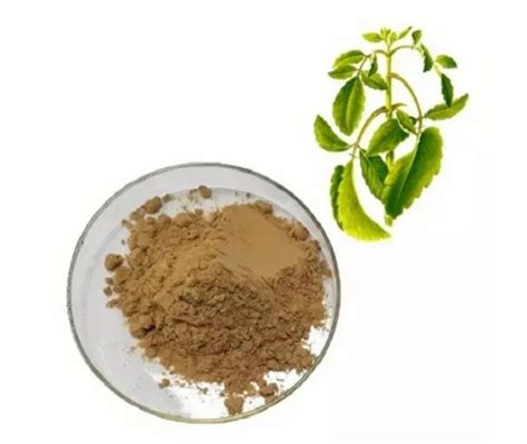 Bryophyllum Pinnatum Leaf Extracts Packaging Type Hdpe Drum At ₹ 750 Kg In Indore