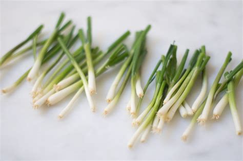 An Immunity Soup To Light Up Your Insides 101 Cookbooks