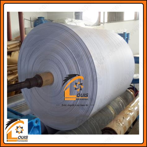 Manh Pp Dệt Công Ty Bao Bì Louis Chuyên Cung Cấp Các Loại Bao Bì