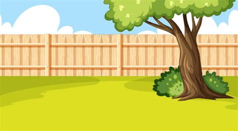 10100 Backyard Stock Illustrations Royalty Free Vector Graphics