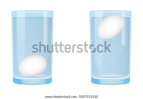 Float Test Egg Science Experiments On Stock Vector Royalty Free