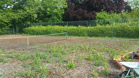 Tye Green Tennis Court Surface Solutions Ltd