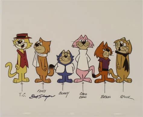 Topcat Choo Choo Callasem
