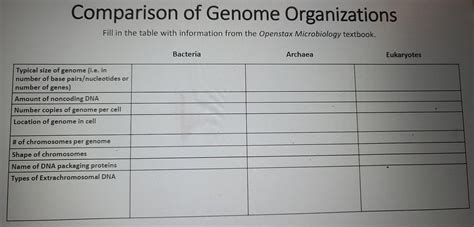 Genome Organization In Eukaryotes Label The