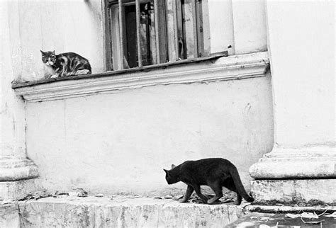 Фотограф Игорь Пальмин ветеран и летописец «другого искусства
