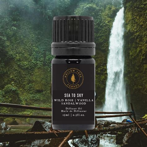 Diffuser Oils Hollow Tree Candle Co