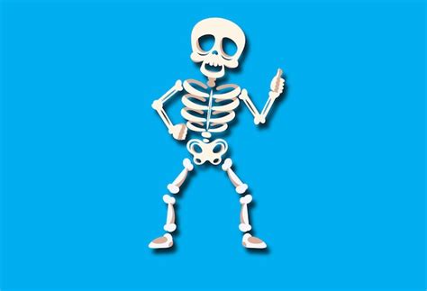 Premium Vector Skeleton Cartoon Illustration