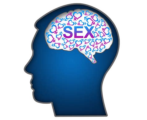 Sexual Behavior Determined By Immune Cells In The Brain