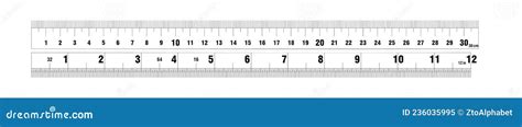 Ruler Scale Measure Cm Metric Diy Stock Vector Illustration Of