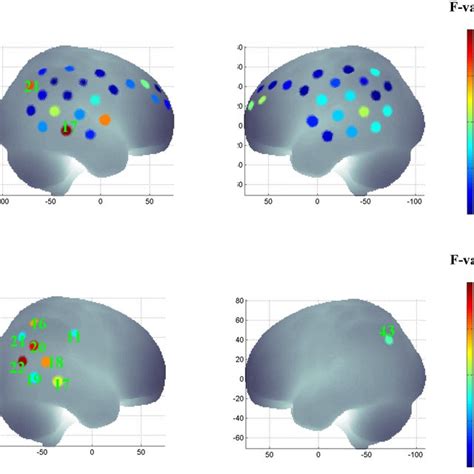 Fnirs Result Of Biat Test F Map Of Oxygenated Haemoglobin Oxy Hb