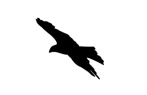 Svg Falcon Tree Wild Hunter Free Svg Image And Icon Svg Silh