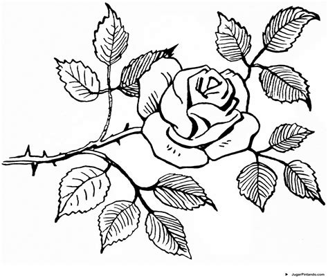Dibujos Para Imprimir Y Colorear Pinta Dibus Dibujo De Flores Para