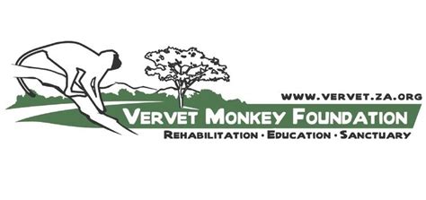 Vervet Monkey Foundation Alchetron The Free Social Encyclopedia