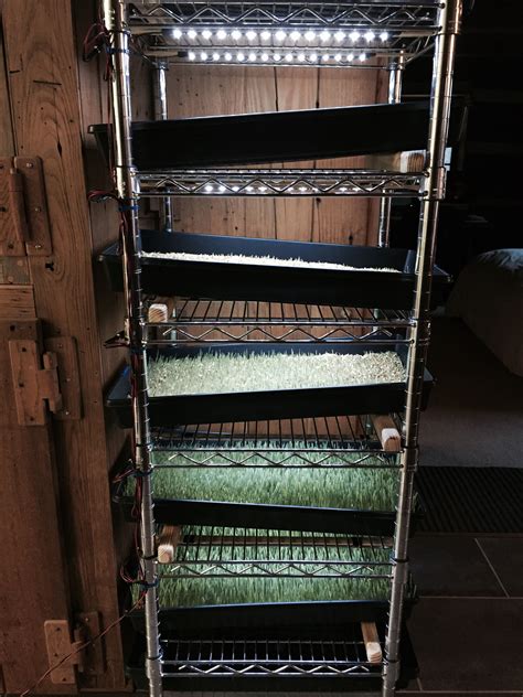 29 Fodder Systems Ideas Fodder System Fodder Aquaponics