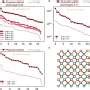 Unlocking Quantum Computing Power Automated Protocol Design For Quantum Advantage Nation Online