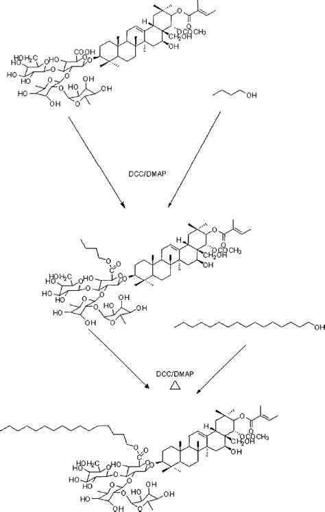 Structural Modification Type Cameclia Oleifera Saponin And Preparation Method And Application